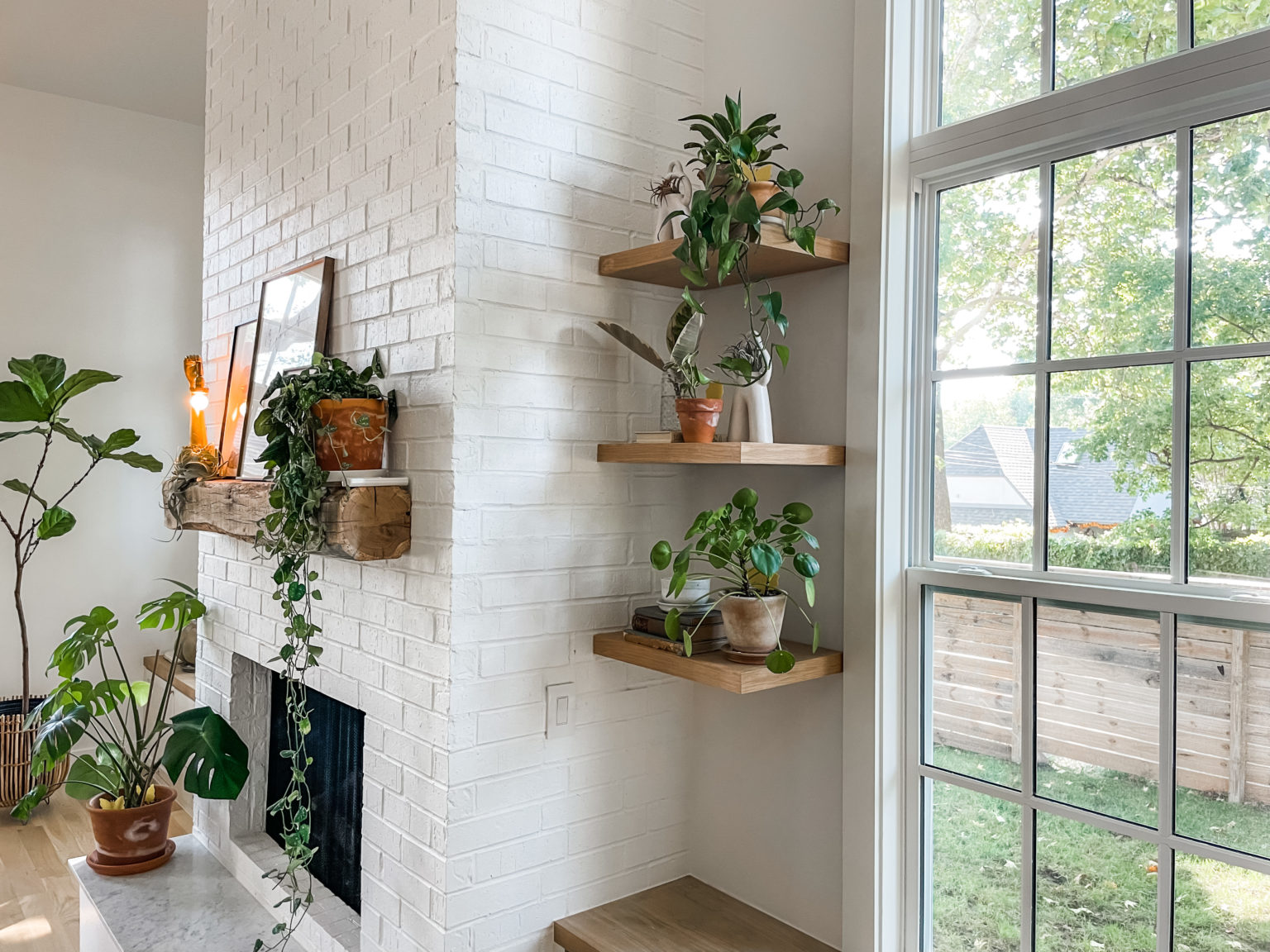 Floating plant shelves - Cotton Stem
